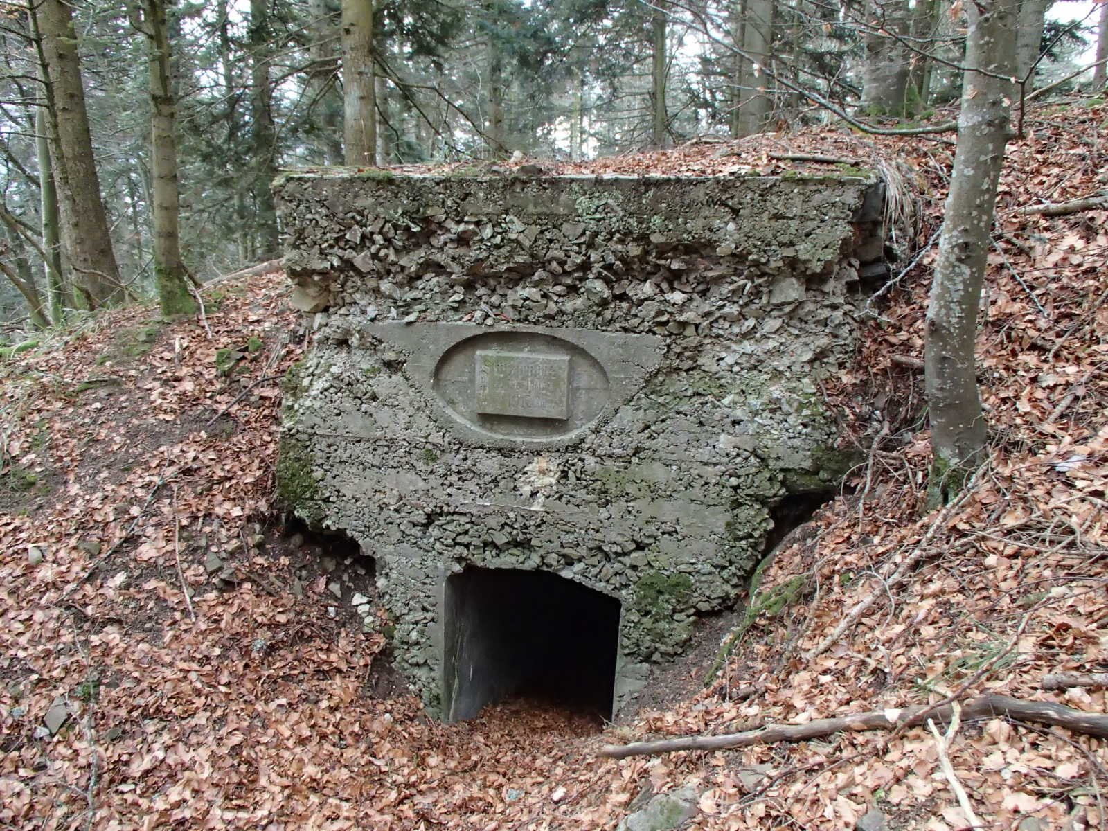 Albert Roche : Le « 1er soldat de France » a combattu au Sudel