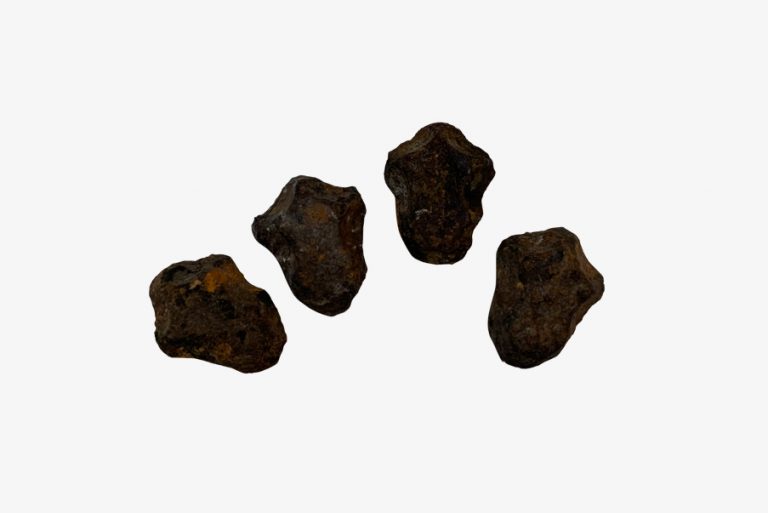 Shrapnel ou obus à balles (1914-1918) » Armes » Sudelkopf